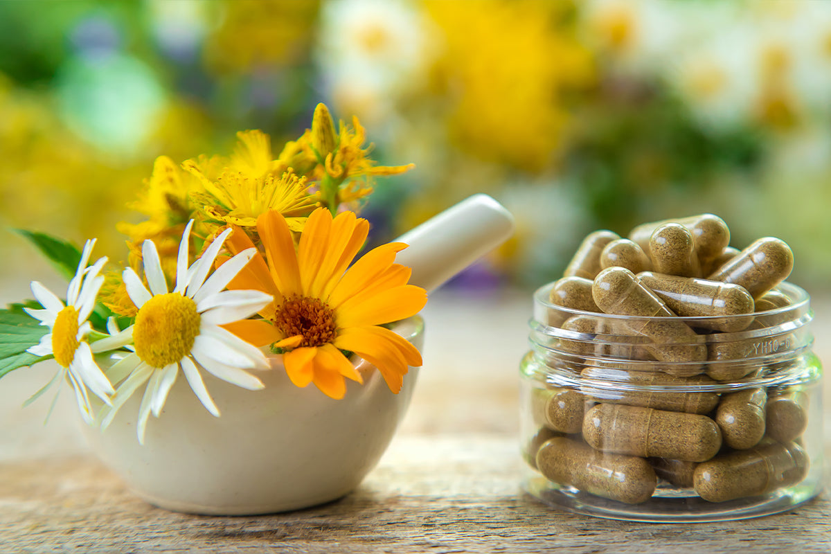 Herbal Vitamins 101: Natural Supplements Backed by Tradition and ...