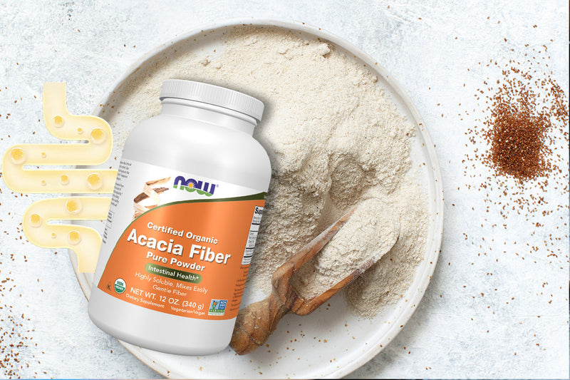 Acacia Fiber Benefits: A Gentle Prebiotic for Gut and Digestive Health ...