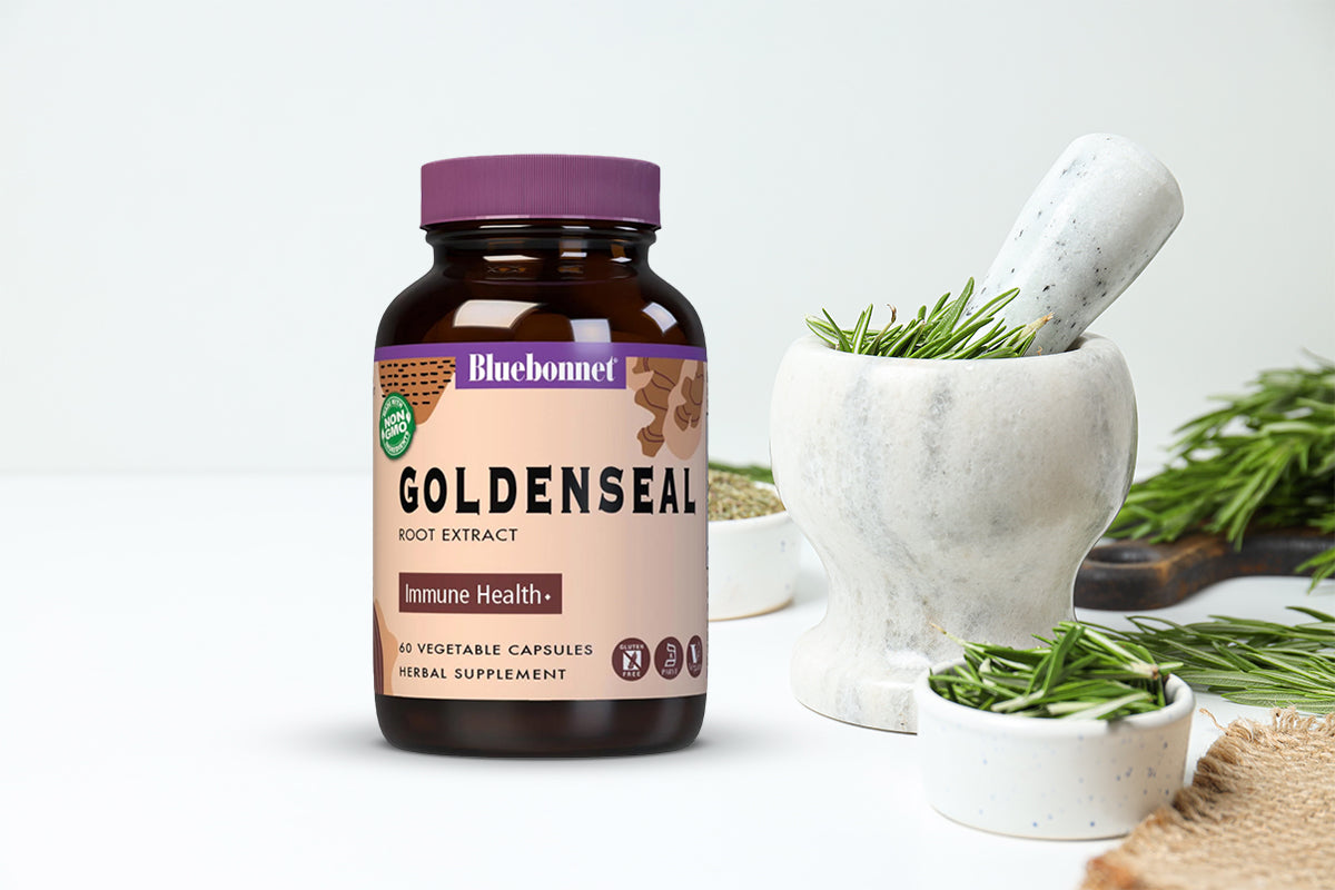 Goldenseal Root Benefits: Traditional Herb for Immune Support | DailyVita