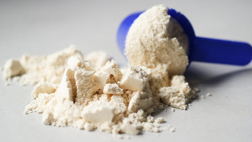 Protein Powder During Workout | DailyVita