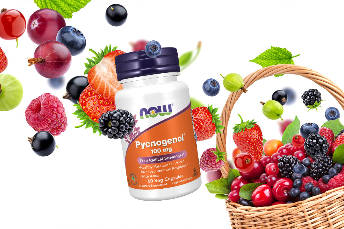 Polyphenols Supplements: Unlocking Antioxidant Power | DailyVita